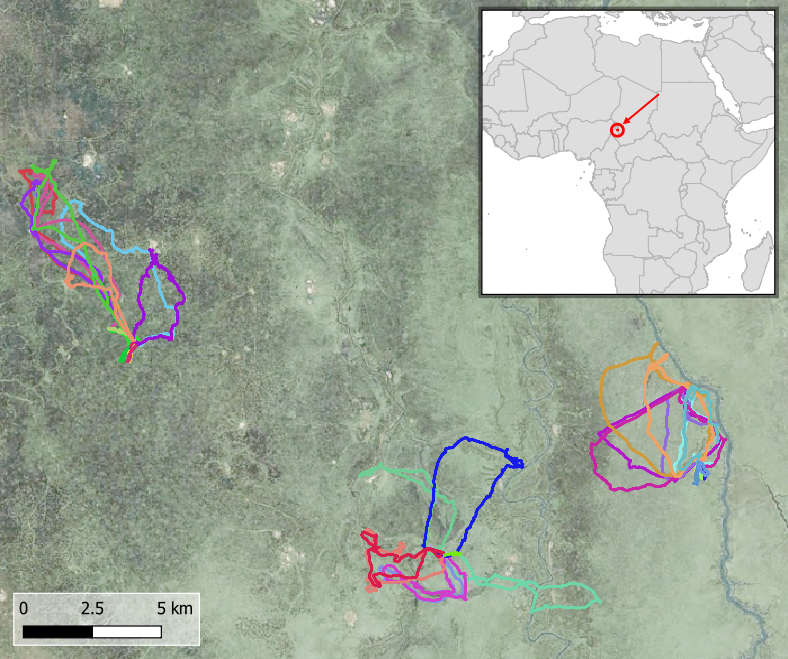 Visualization of herd tracking data | Moritz Lab